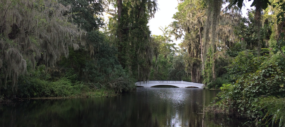 Ashley River Historic District Corridor - Coastal Conservation League