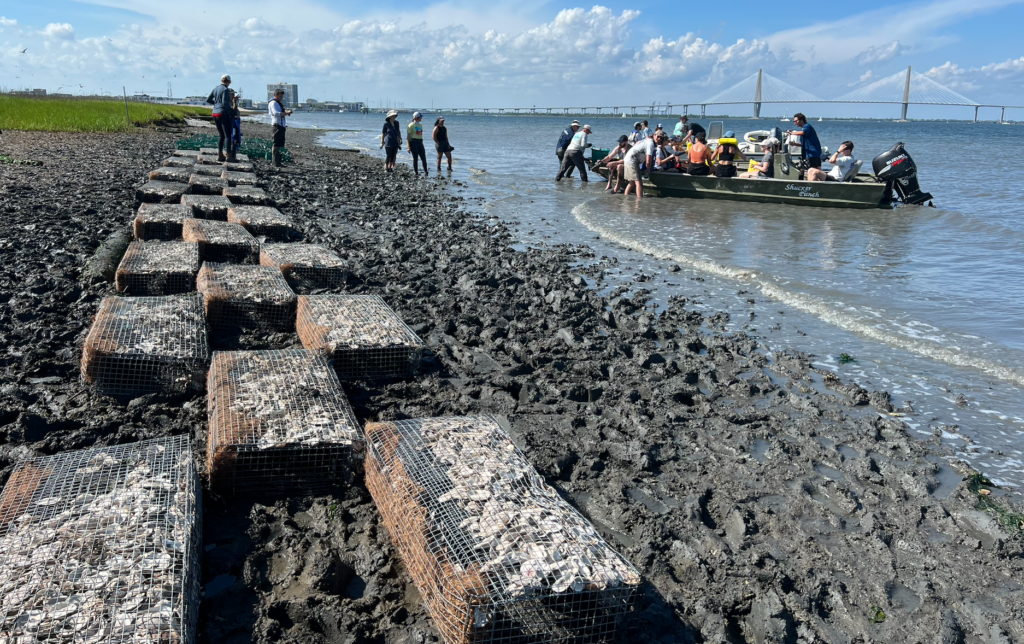 Volunteer: Oyster Reef Build with SCDNR - Coastal Conservation League