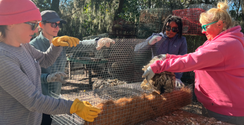 Volunteer: Manufactured Wire Reef Construction with SCDNR - Coastal ...