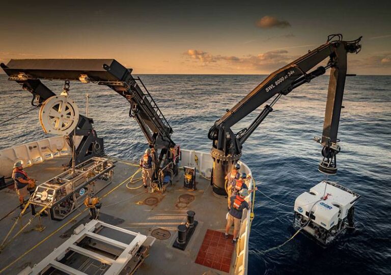 Deep-Sea Corals: Biology - Coastal Conservation League