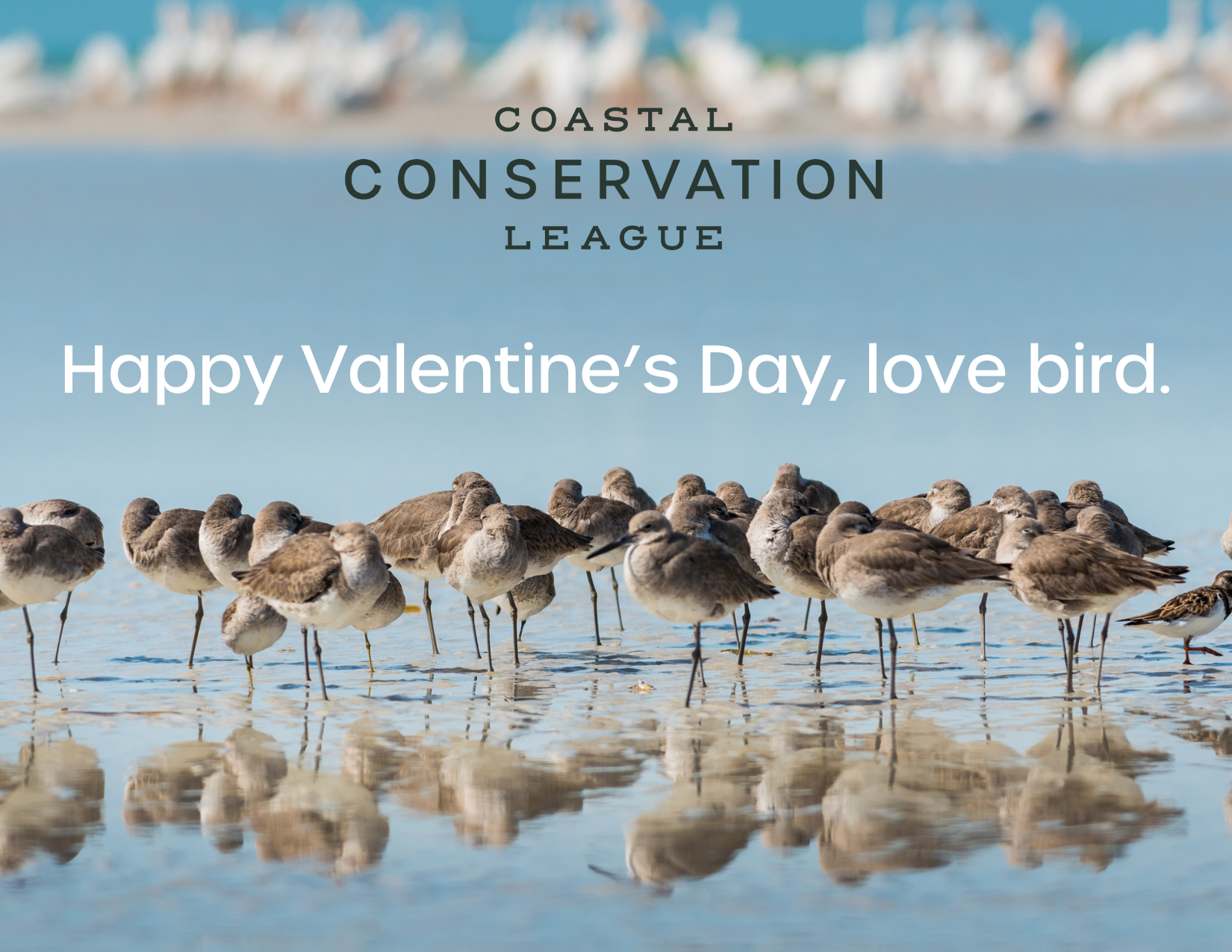 We couldn't protect our coast without you, valentine. - Coastal ...