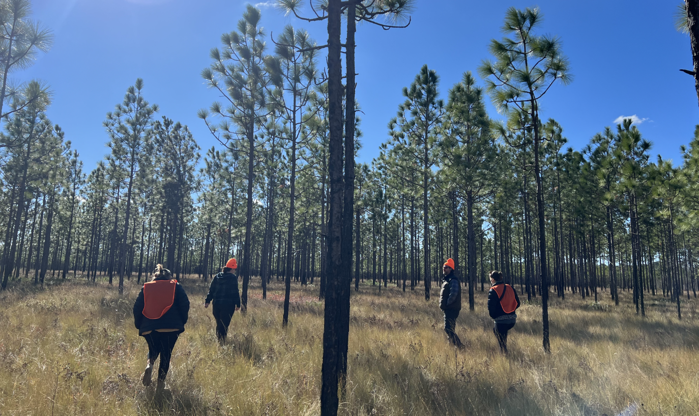 Lewis Ocean Bay Nature Walk with Trapper Fowler - Coastal Conservation ...