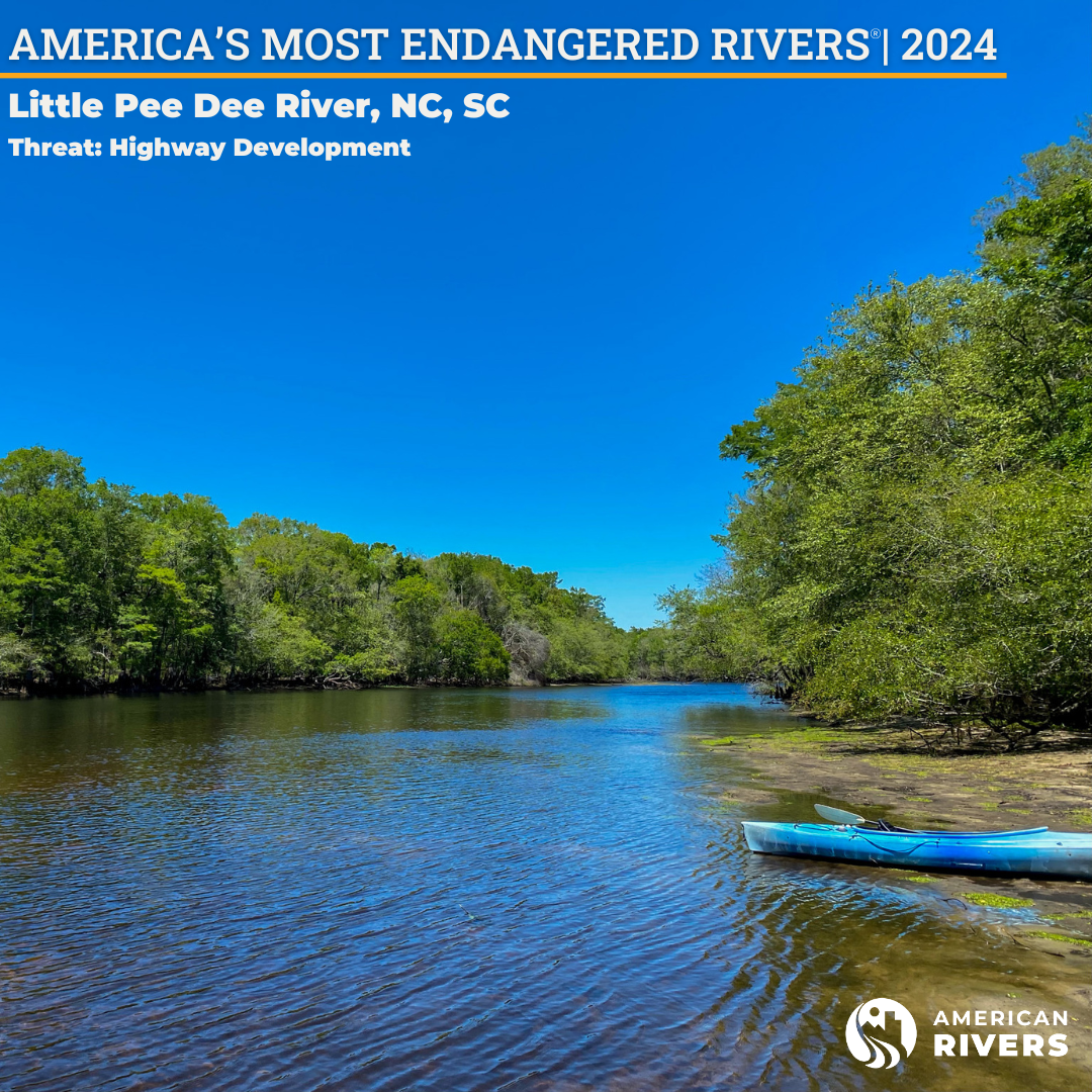 Little Pee Dee River Named One of America's Most Endangered Rivers® of ...